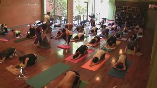 Standing Frog & Hips Abyss | Power Yoga