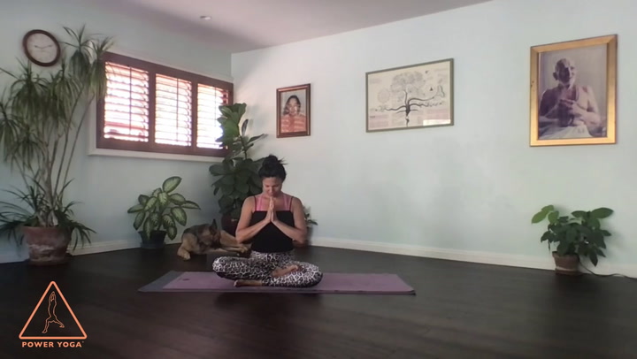 Back in the Mellow Flow | Power Yoga