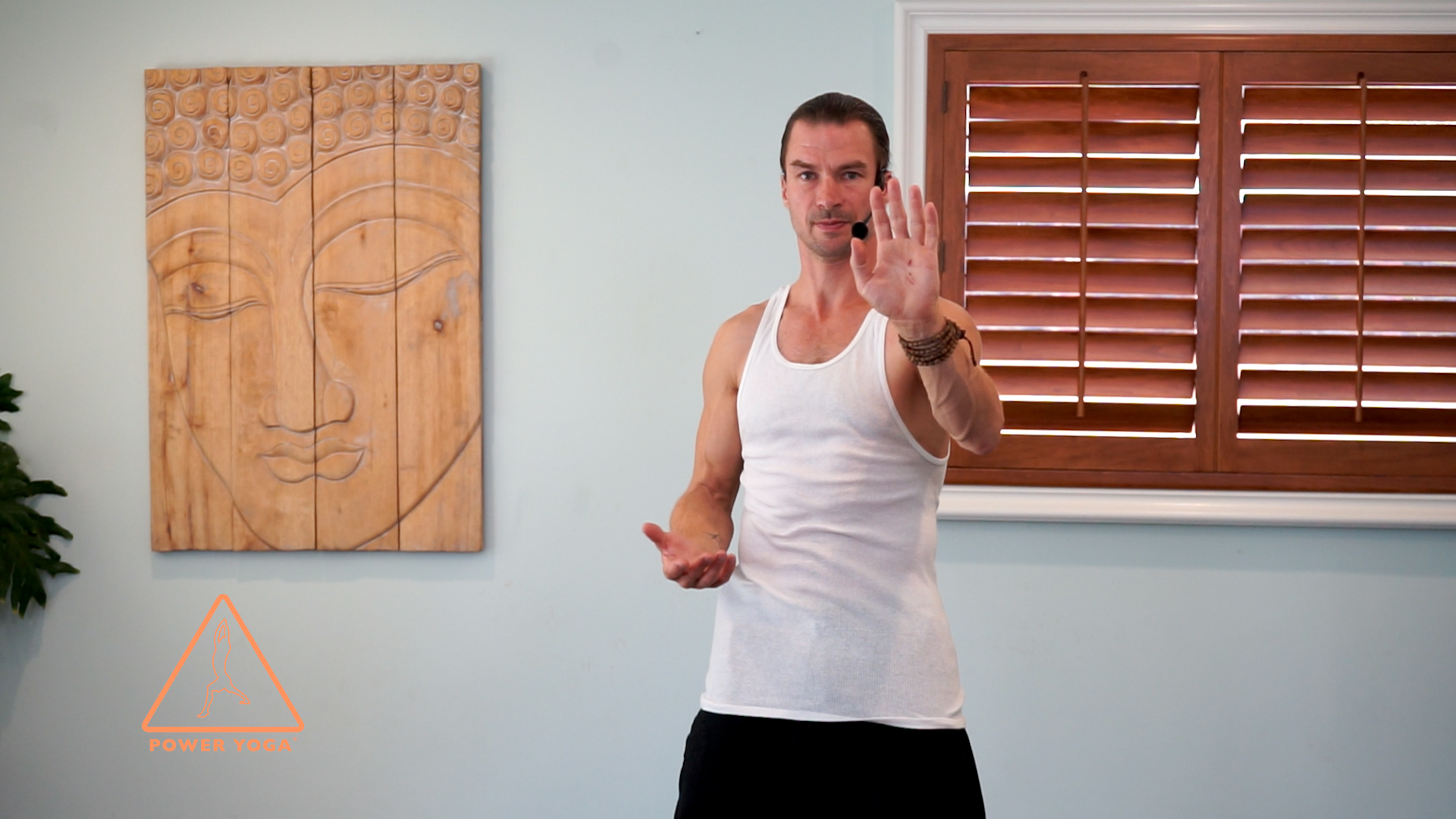 Tai Chi - Lesson 2: Repulse the Monkey | Power Yoga