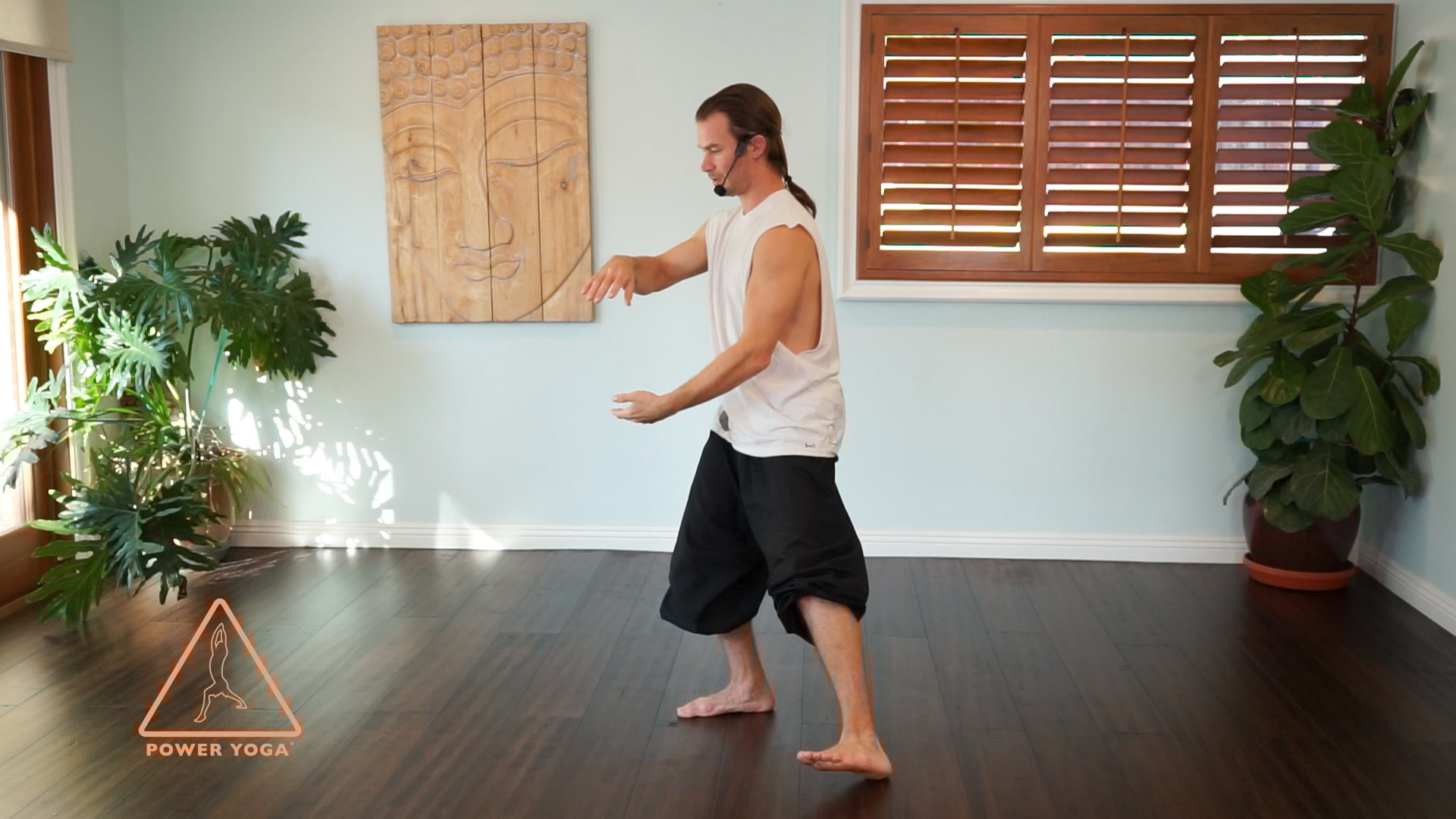 Tai Chi - Lesson: 7 Ward Off, Roll Back, Press Push (one side) | Power Yoga